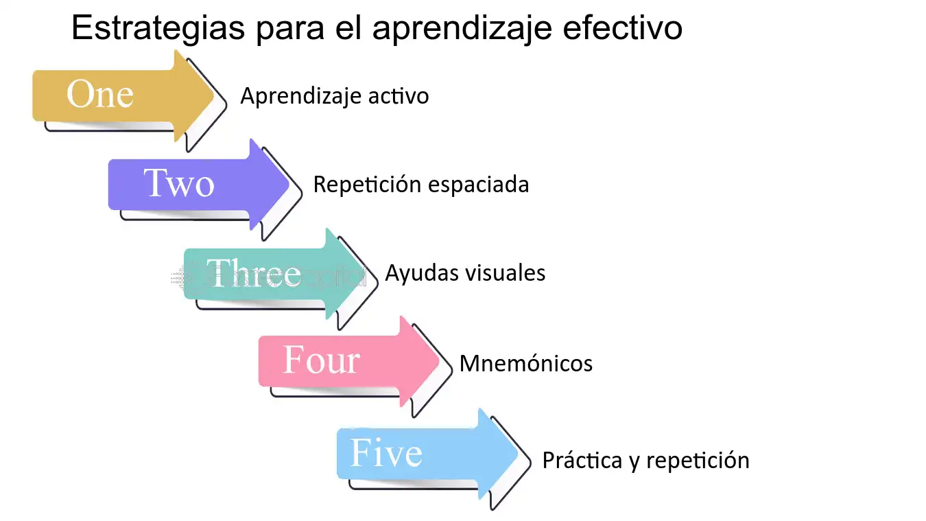 Los Principios Del Aprendizaje Efectivo: Claves Para Mejorar Tus Habilidades