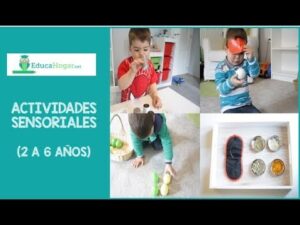 Aprendizaje Multisensorial: Cómo Involucrar Todos Tus Sentidos En El ...